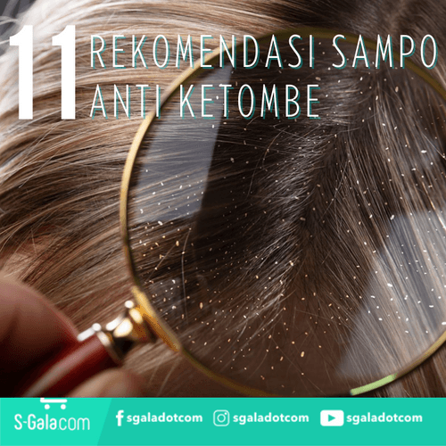 11 Rekomendasi Sampo Anti Ketombe Paling Efektif & Terbaik 2022